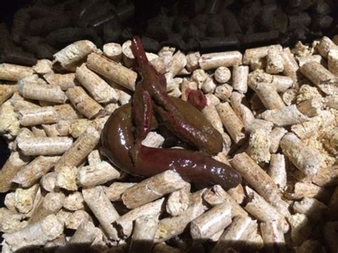 肠癌的症状 47有来医生