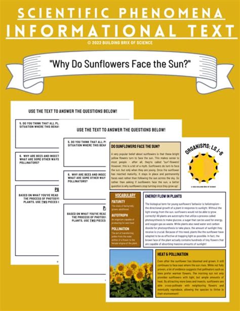 Photosynthesis Informational Text Guided Reading Comprehension Activity