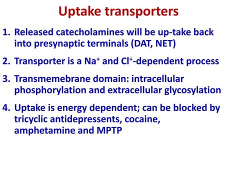 Biosynthesis Of Catecholamines Pptx