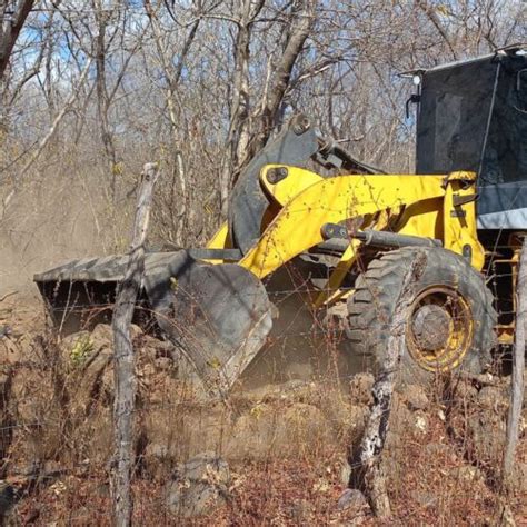 Monitoramento Da Caatinga Na Reserva Natural Serra Das Almas