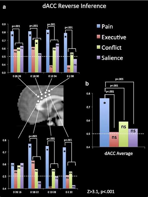Comparison Of Reverse Inference Effects Throughout The Dacc Reproduced
