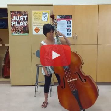 Beginning Stages For Violin Viola Cello Bass Smart String Teacher