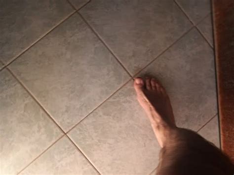 The First Ant Of New Year Thisvid Com