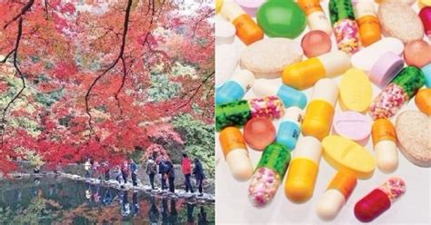 外遊人士健康小貼士 明報健康網