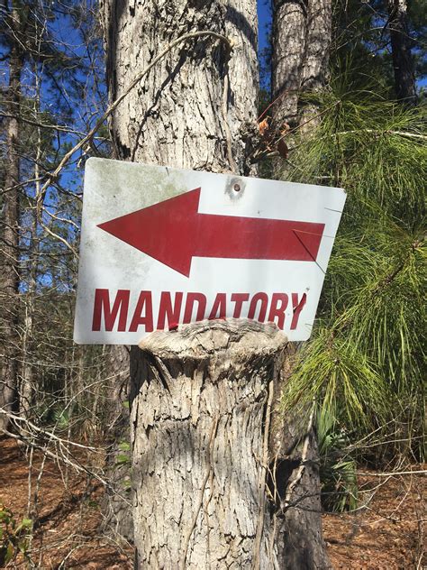 Mandatory Sucking At The Disc Golf Course R Treessuckingonthings