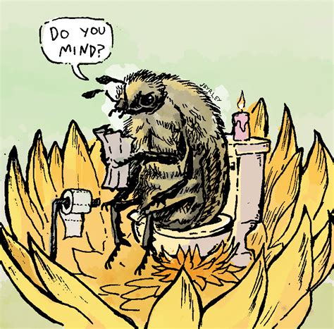 Get To Know Acadias Precious Pollinators Us National Park Service