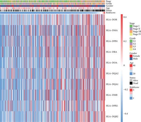 Ccp Derived Prognostic Gene Signature Is In Relation To Tme And Download Scientific Diagram