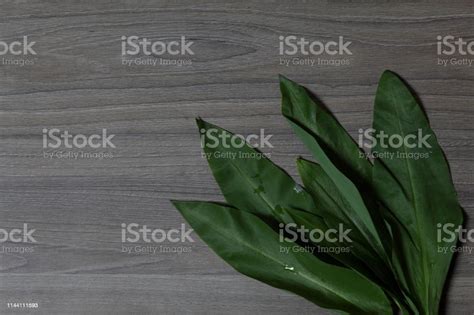 테이블 위에 신선한 채소 들이 깔끔하게 배치 되었습니다 향기로운 야생 마늘 건강 한 샐러드를 위한 재료 0명에 대한 스톡 사진 및 기타 이미지 Istock