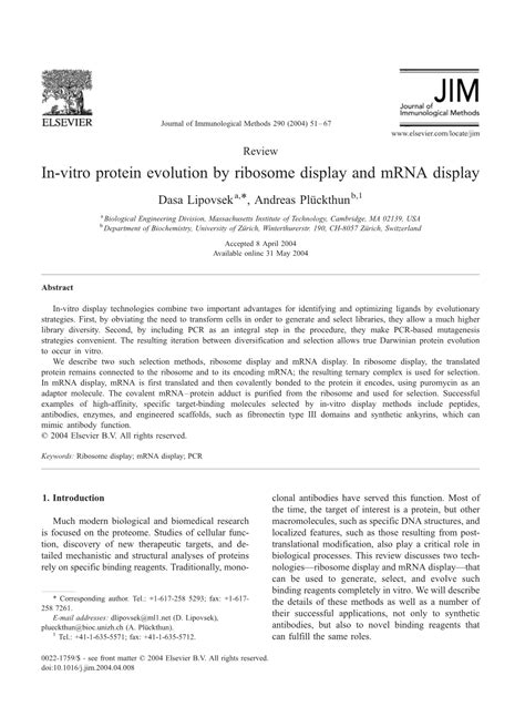 In Vitro Protein Evolution By Ribosome Display And Mrna Display Docslib