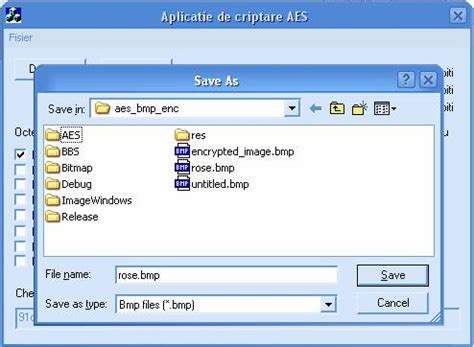 APLICATIE DE CRIPTARE DE IMAGINI FOLOSIND ALGORITMUL AES