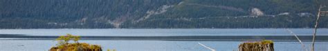 Cedar Lng Signs Flng Deal With Samsung Heavy Black And Veatch