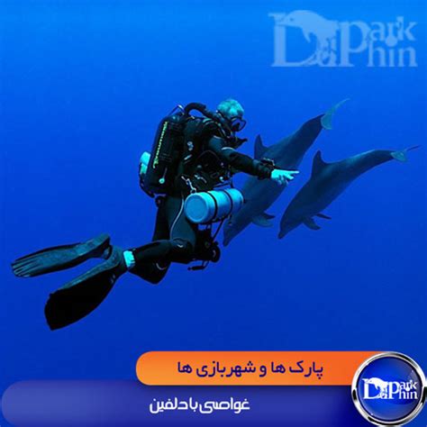 غواصی با دلفین