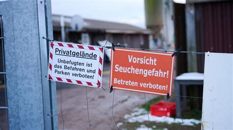 Maul Und Klauenseuche Großbritannien Verbietet Einfuhr Deutscher