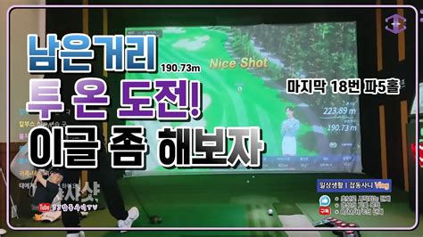 ⛳sg골프ㅣ갈팡질팡 어떤 클럽으로 칠까 마지막 18번 파5홀 투온 도전할게요 일상생활 잡동사니 골프 골린이 스크린