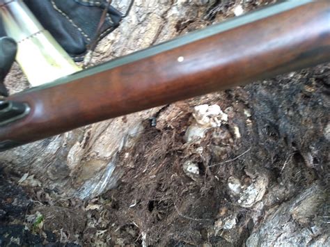 Kevin Blevins Flintlocks The Muzzleloading Forum