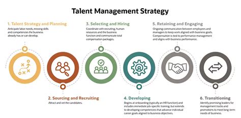What Is Talent Management Definition Strategy Process Model