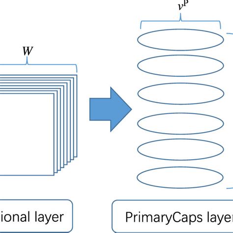 the overall structure of classical capsule networks with three