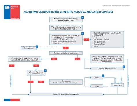 Algoritmo De Reperfusión De Iam Con Sdst Algoritmo De ReperfusiÓn De