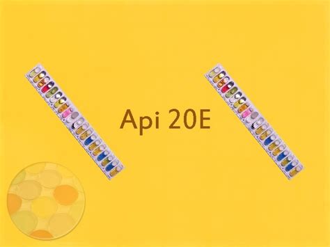 Api E Principle The API E