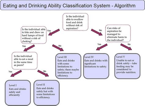 Implementing The Eating And Drinking Ability Classification System