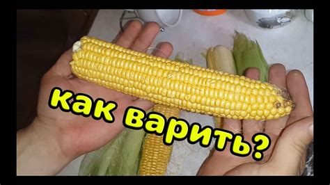 Как ВКУСНО сварить КУКУРУЗУ самый ЧЕСТНЫЙ способ простой СЕКРЕТ