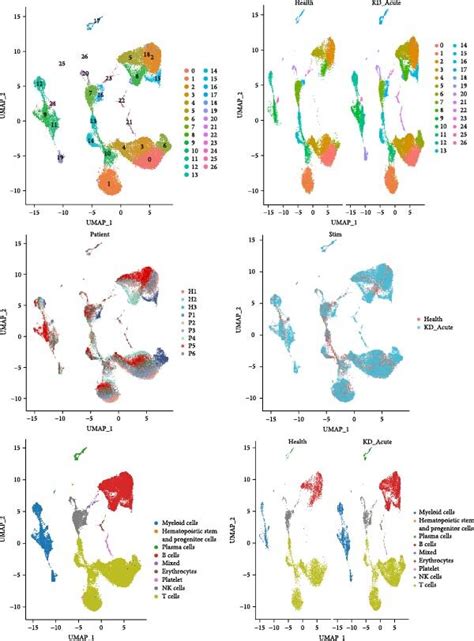 Cluster Distribution Analysis A Cell Types Identified In Peripheral Download Scientific