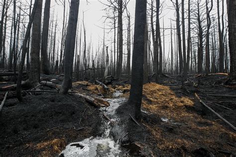 Mix Of Relief And Sadness As Evacuees Return Home After Halifax