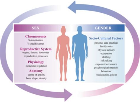 8 Human Sexuality Sexual Orientation And Gender Identity Flashcards