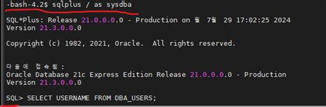 오라클 Sqlplus As Sysdba 에러