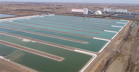 Mining And Resource Recovery From Desalination And Industrial Brine