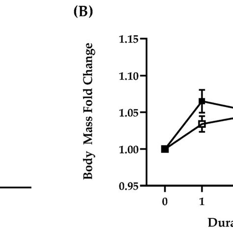 Body Weight In C57bl6j Male And Female Mice Following Orthotopic Ll2