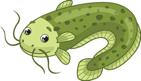 Catfish Free Vector Clipart Images On Creazilla