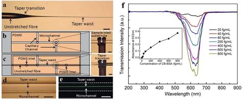 Sensors Free Full Text Microfiber Optical Sensors A Review