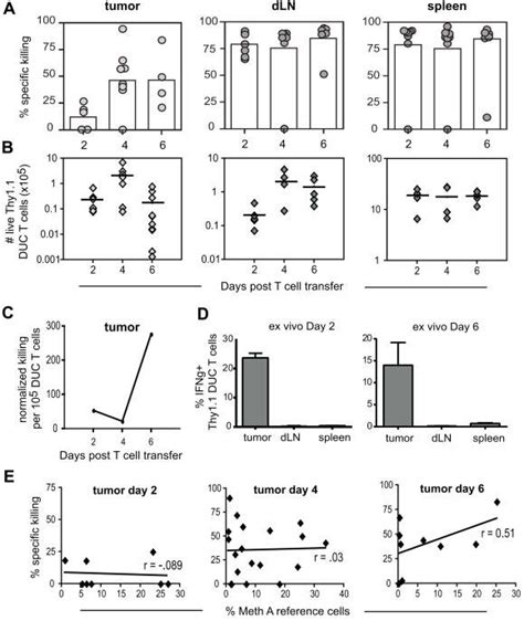 A Itc Assays Were Performed Beginning On Days 2 4 Or 6 For Tumors