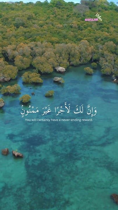 نٓ ۚ وَٱلْقَلَمِ وَمَا يَسْطُرُونَ تلاوةخاشعة اكسبلورفولو Youtube