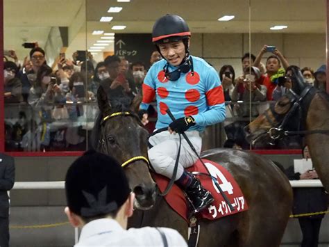 ウィクトーリア号が競走馬登録抹消 競馬ニュースなら競馬のおはなし