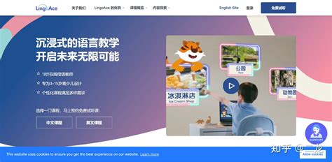 《国际中文教师》常见兼职平台汇总 知乎