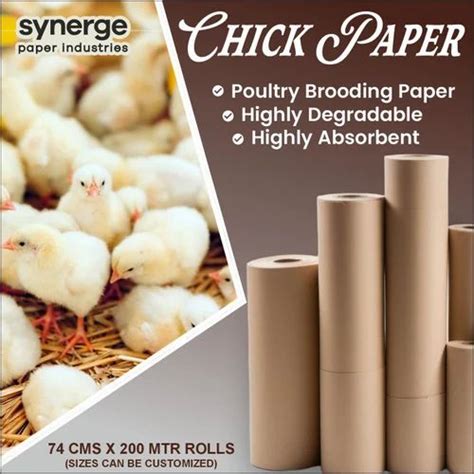 60 Inch Poultry Brooding Paper Chick Paper Rolls At ₹ 100piece