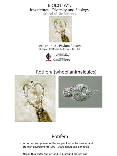 Lecture 13 2 Phylum Rotifera Pdf Zoology Biology
