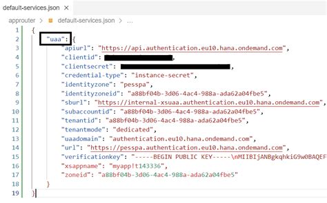 Run Node Js Applications With Authentication Local SAP Community