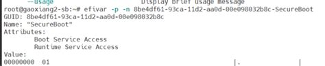 Secure Boot 101 Getting Started With Secure Boot Nsfocus Inc A