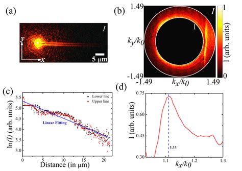 A Real Plane Intensity Distribution Of Leaky Spp Mode Excited In An