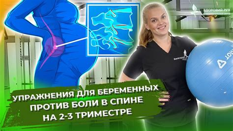 Упражнения для беременных от боли в спине Комплекс упражнений для беременных на 2 3 триместре