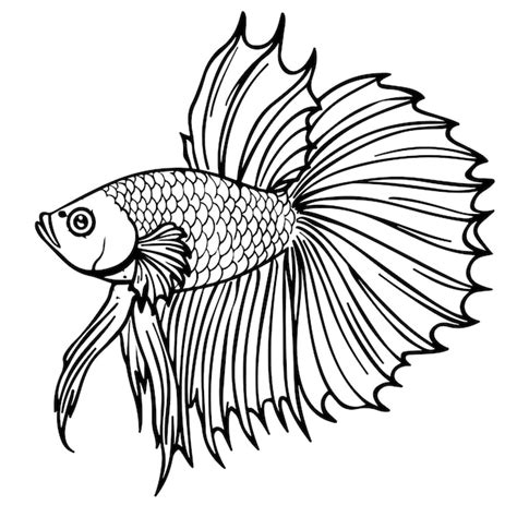 Libro de colorear para niños ilustración en blanco y negro de peces
