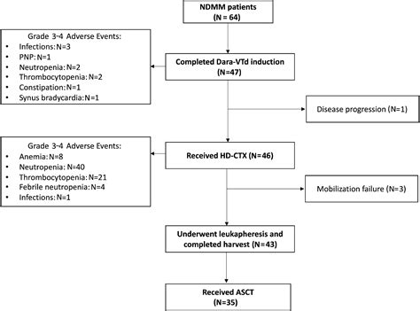 Figure 1 From Higher Cyclophosphamide Dose Grants Optimal Stem Cell Collection After Daratumumab