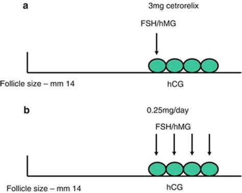 Mild Stimulation Protocols Ovulation Induction And Controlled Ovarian