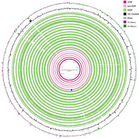 Genome Sequence Comparison Of 21 Resistant M Tuberculosis Genomes 15