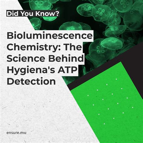 Ensure Partners On Linkedin Bioluminescence The Scientific Principle Behind Hygienas Atp