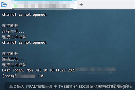 Finalshell Channel Is Not Opened