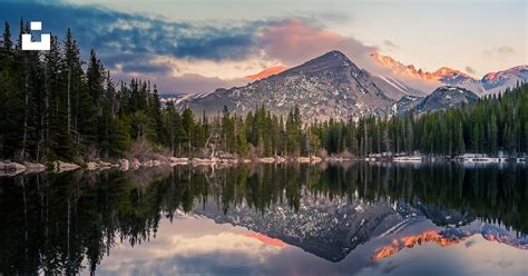 잔잔한 호수에 비치는 나무들 사진 Unsplash의 무료 산 이미지